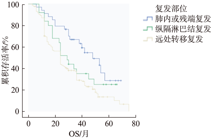 Ⅲa期单站纵隔淋巴结肿大NSCLC患者术后生存分析