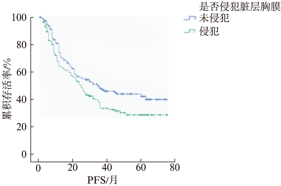 Ⅲa期单站纵隔淋巴结肿大NSCLC患者术后生存分析